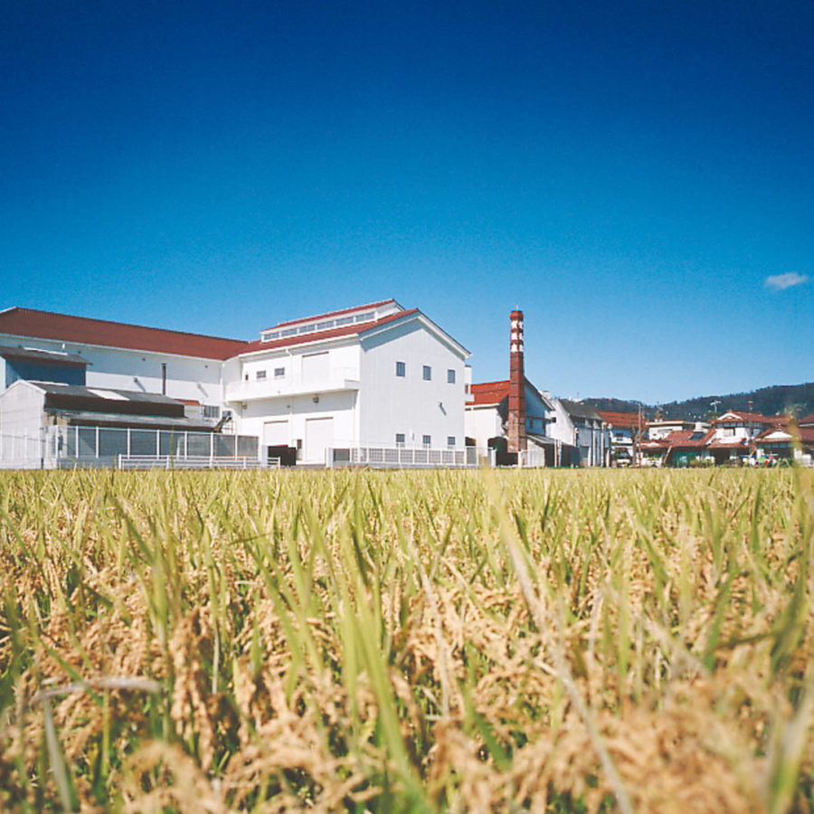 World Sake Imports – Superior service and support for premium sakes