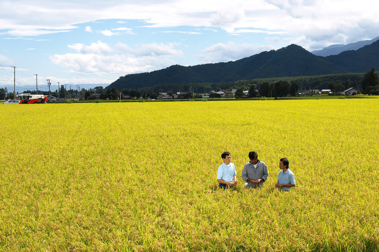 Masumi “Yuzu Liqueur” – World Sake Imports